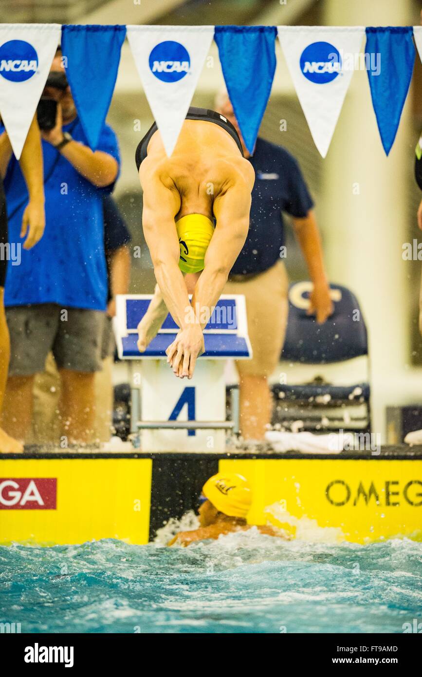 Ncaa swimming cal hi-res stock photography and images - Alamy