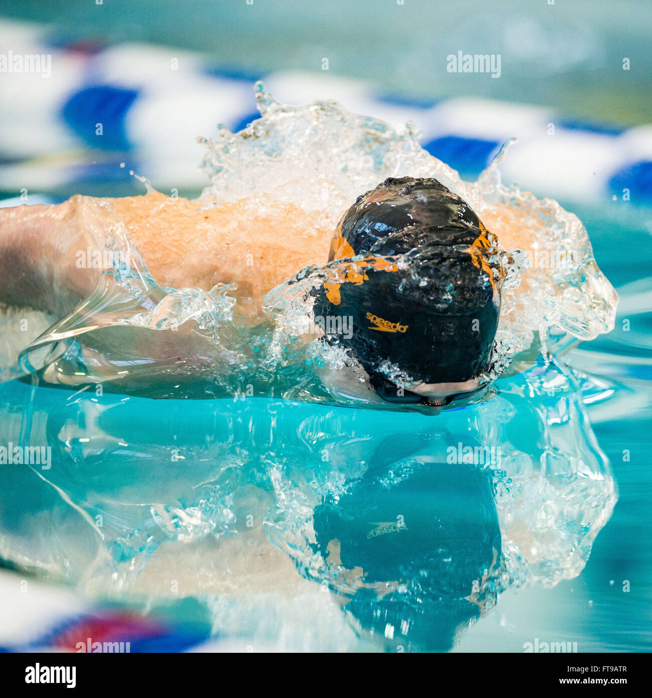 Atlanta, Georgia, USA. 25th Mar, 2016. Texas swimmer Jonathan Roberts ...