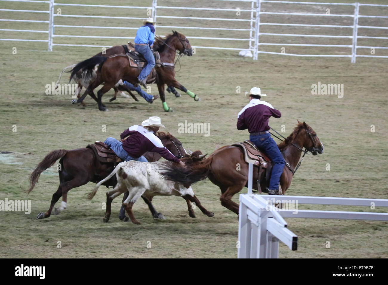 Qld rodeo hi-res stock photography and images - Alamy