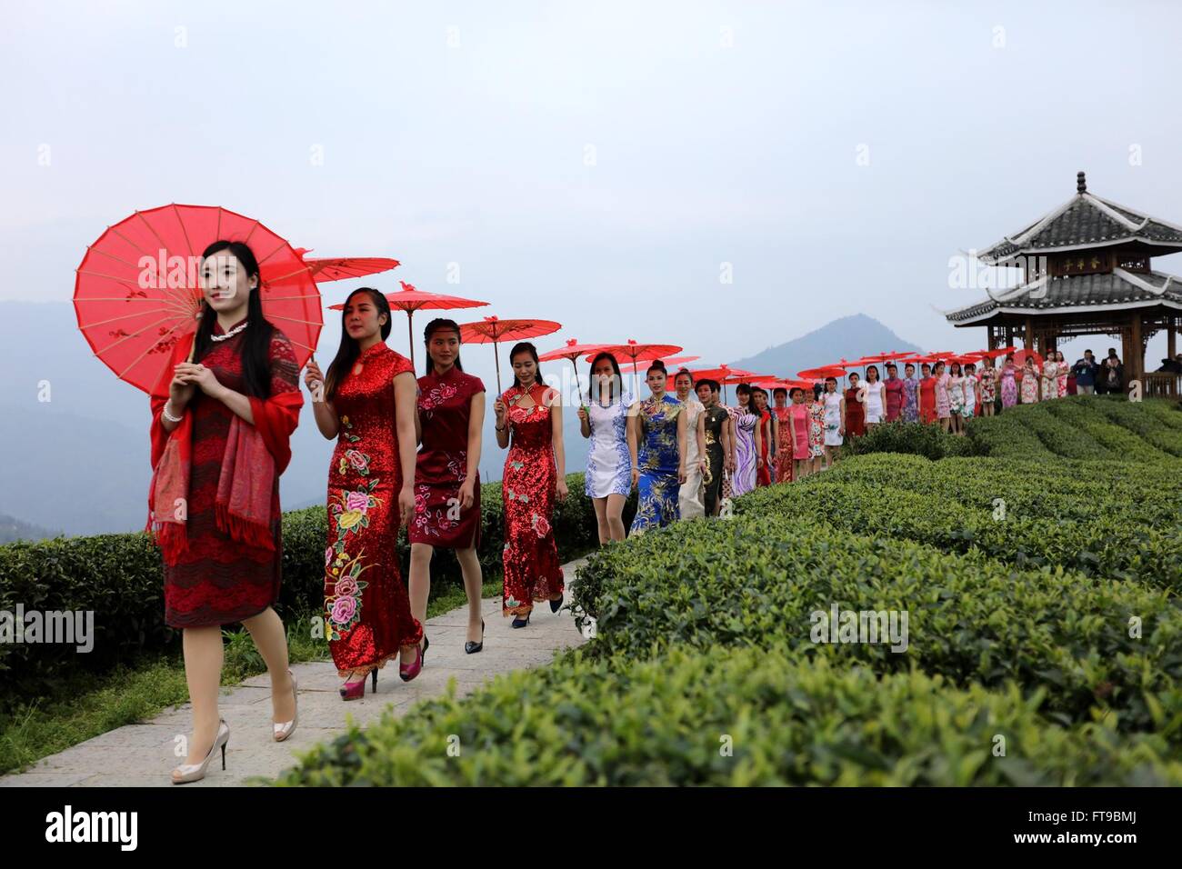 Sanjiang, China's Guangxi Zhuang Autonomous Region. 26th Mar, 2016 ...