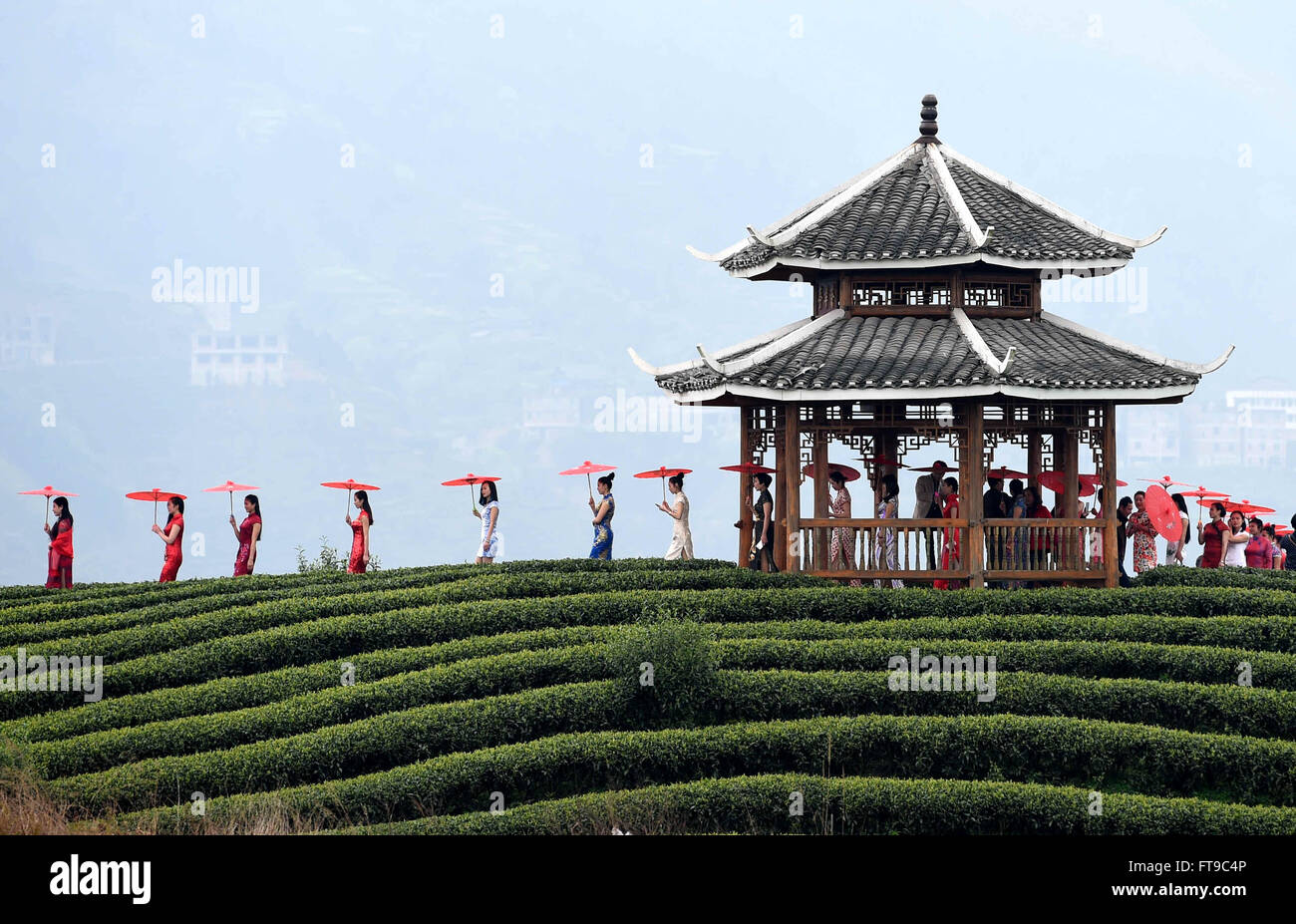 Sanjiang, China's Guangxi Zhuang Autonomous Region. 26th Mar, 2016 ...