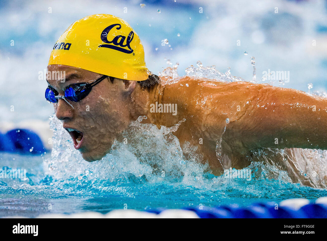 Atlanta, Georgia, USA. 26th Mar, 2016. Cal swimmer MICHAEL THOMAS ...