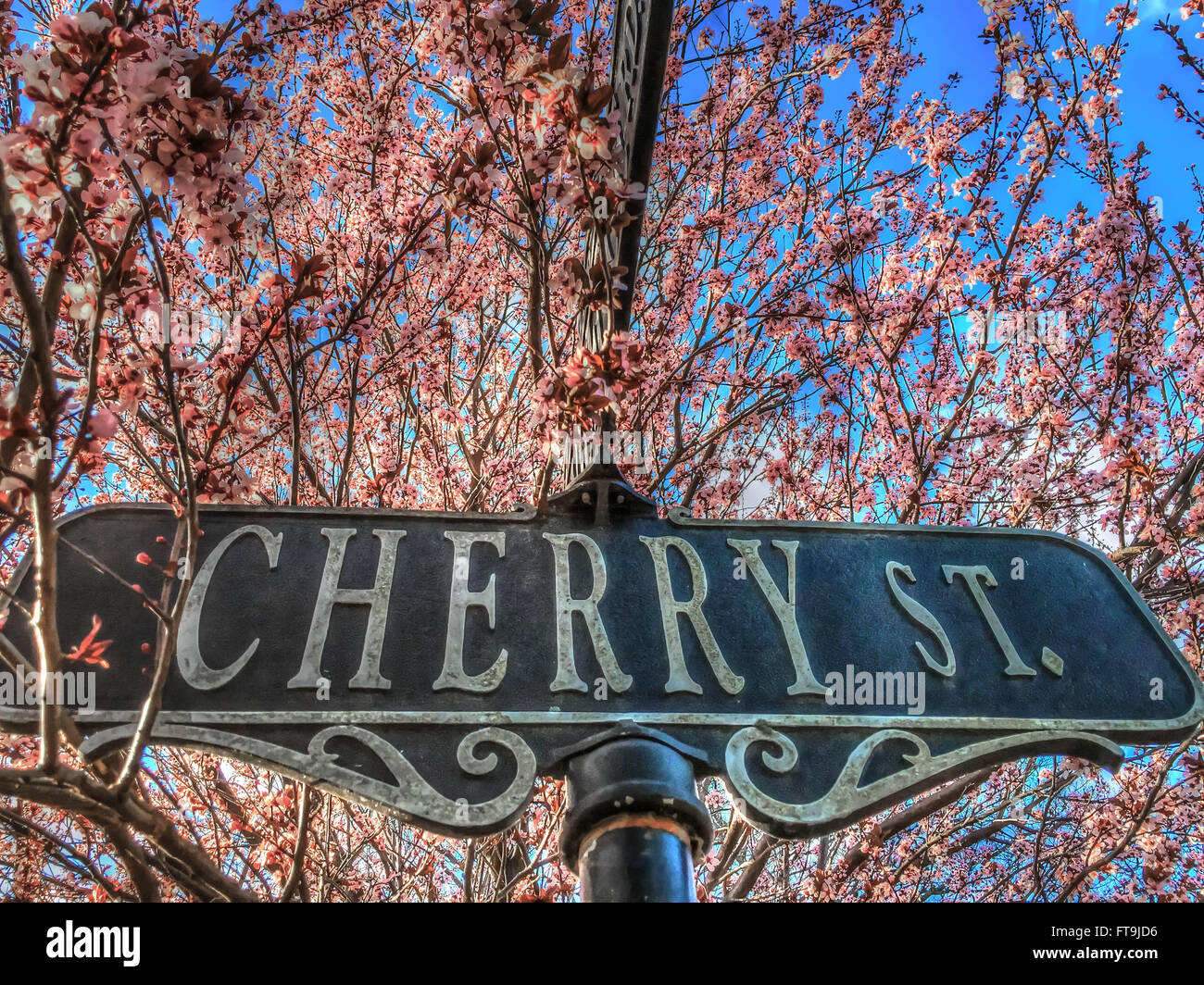 Weather In Cherry Tree Pennsylvania at Verda Garcia blog