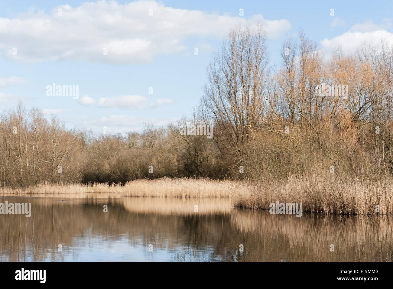 Thames valley park hi-res stock photography and images - Alamy