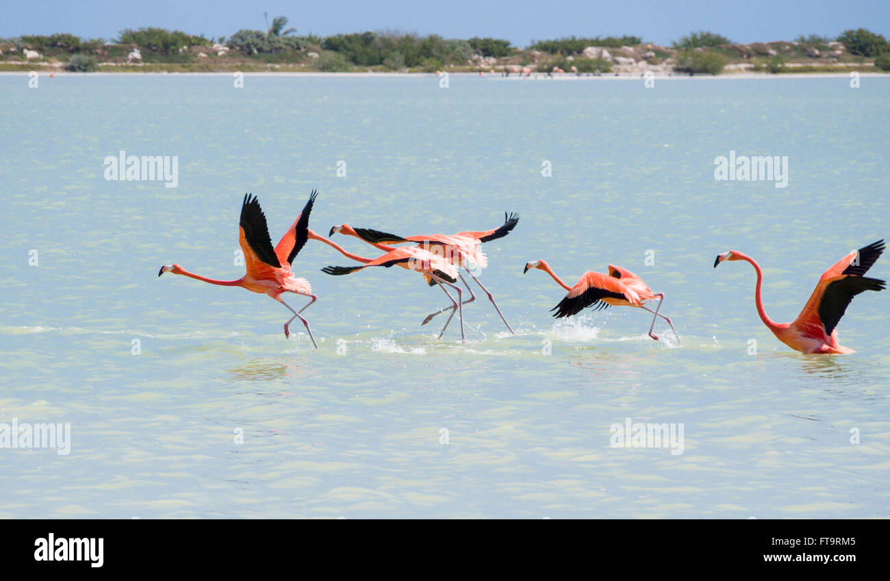 Five ponds hi-res stock photography and images - Alamy
