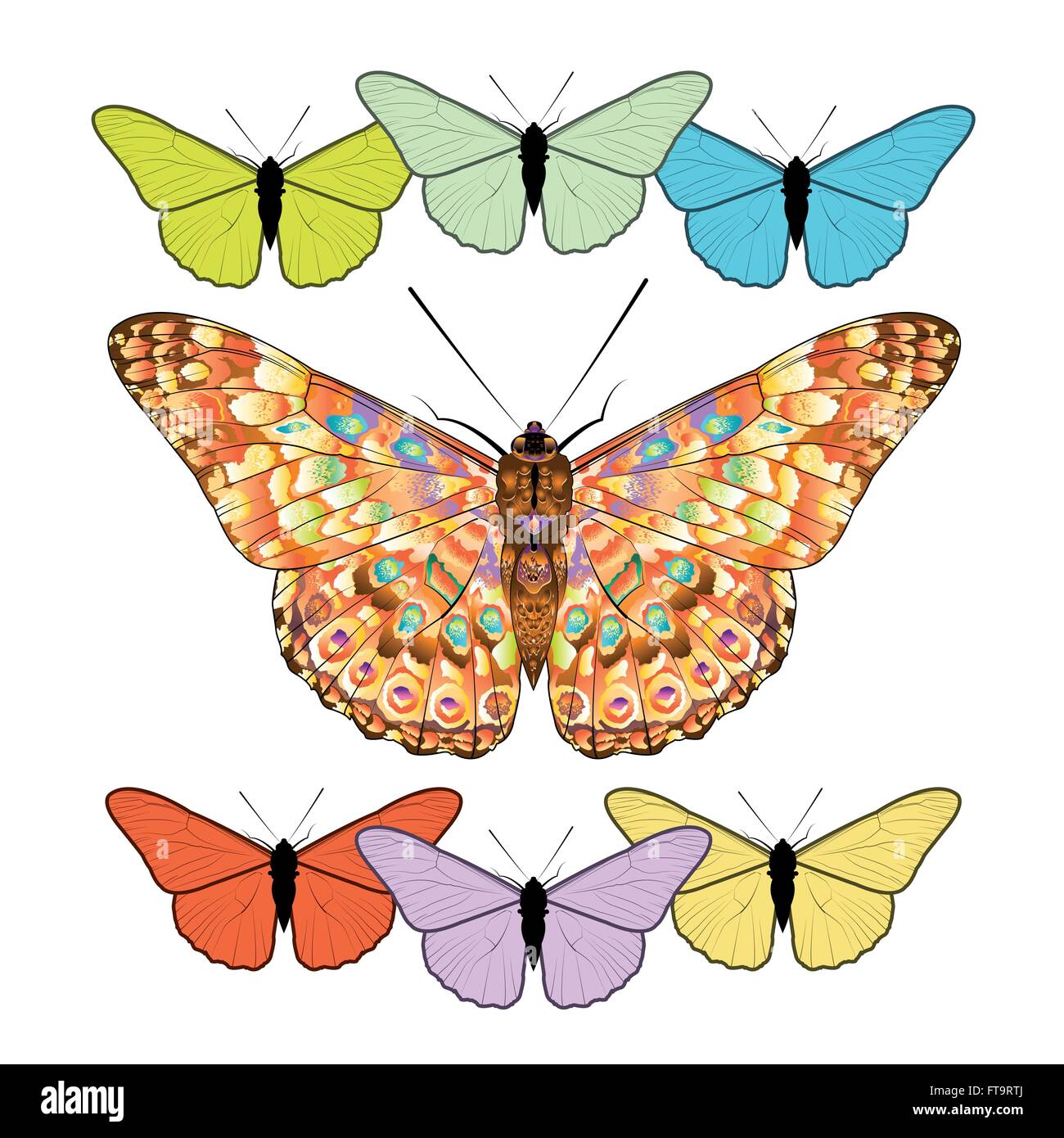 Macro beauty of butterflies Stock Vector Images - Alamy