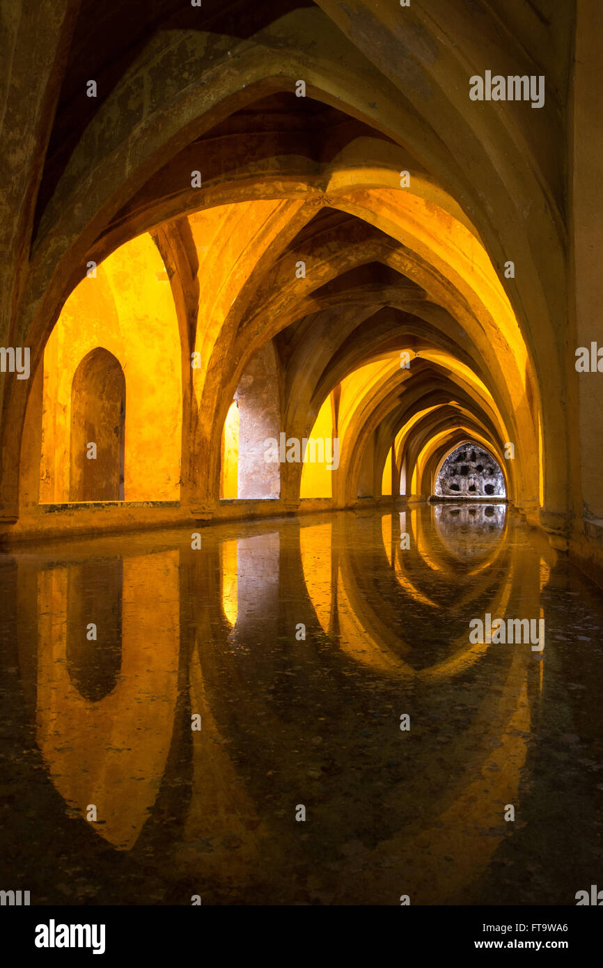 Baths of alcazar seville hi-res stock photography and images - Alamy