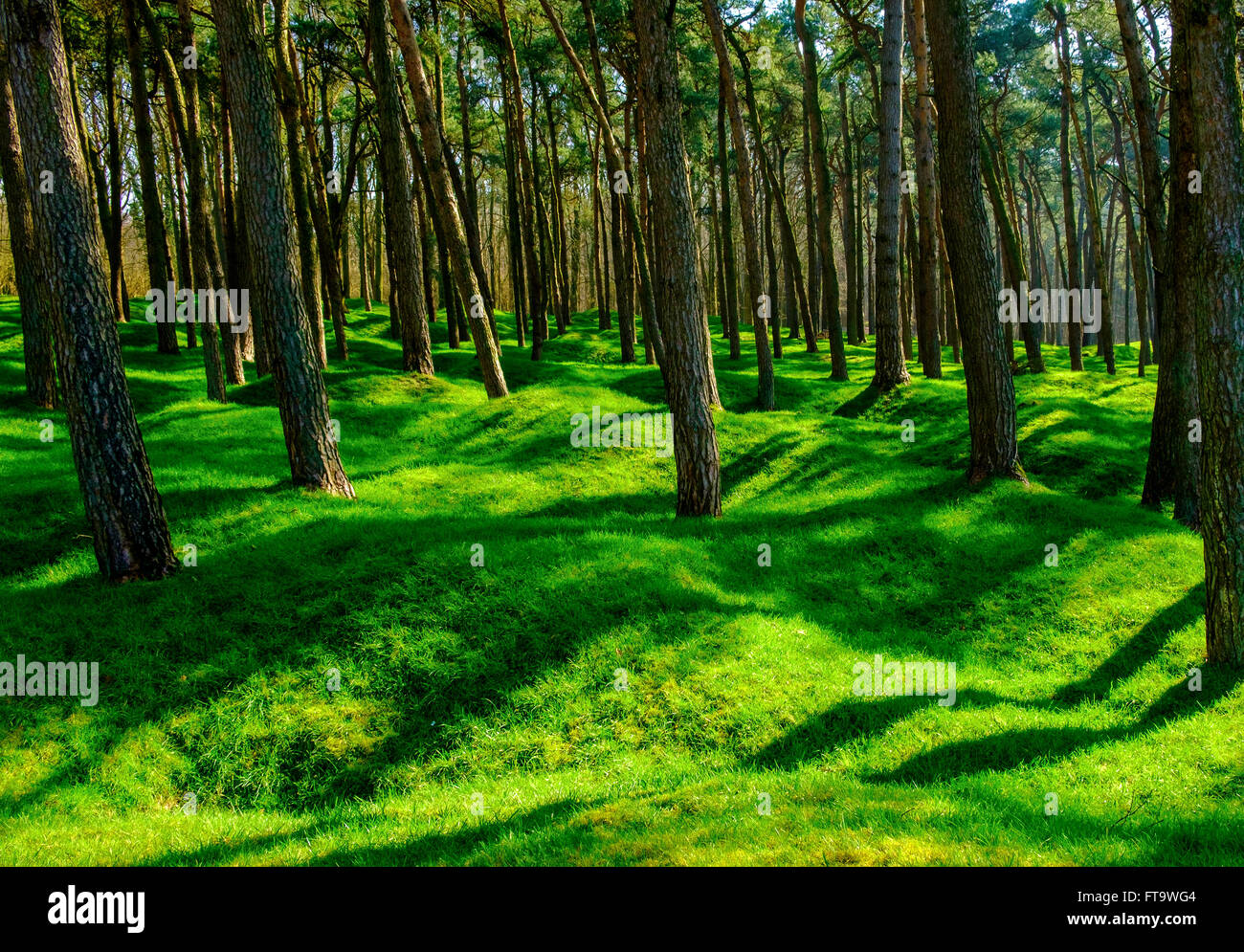 Shell craters hi-res stock photography and images - Alamy