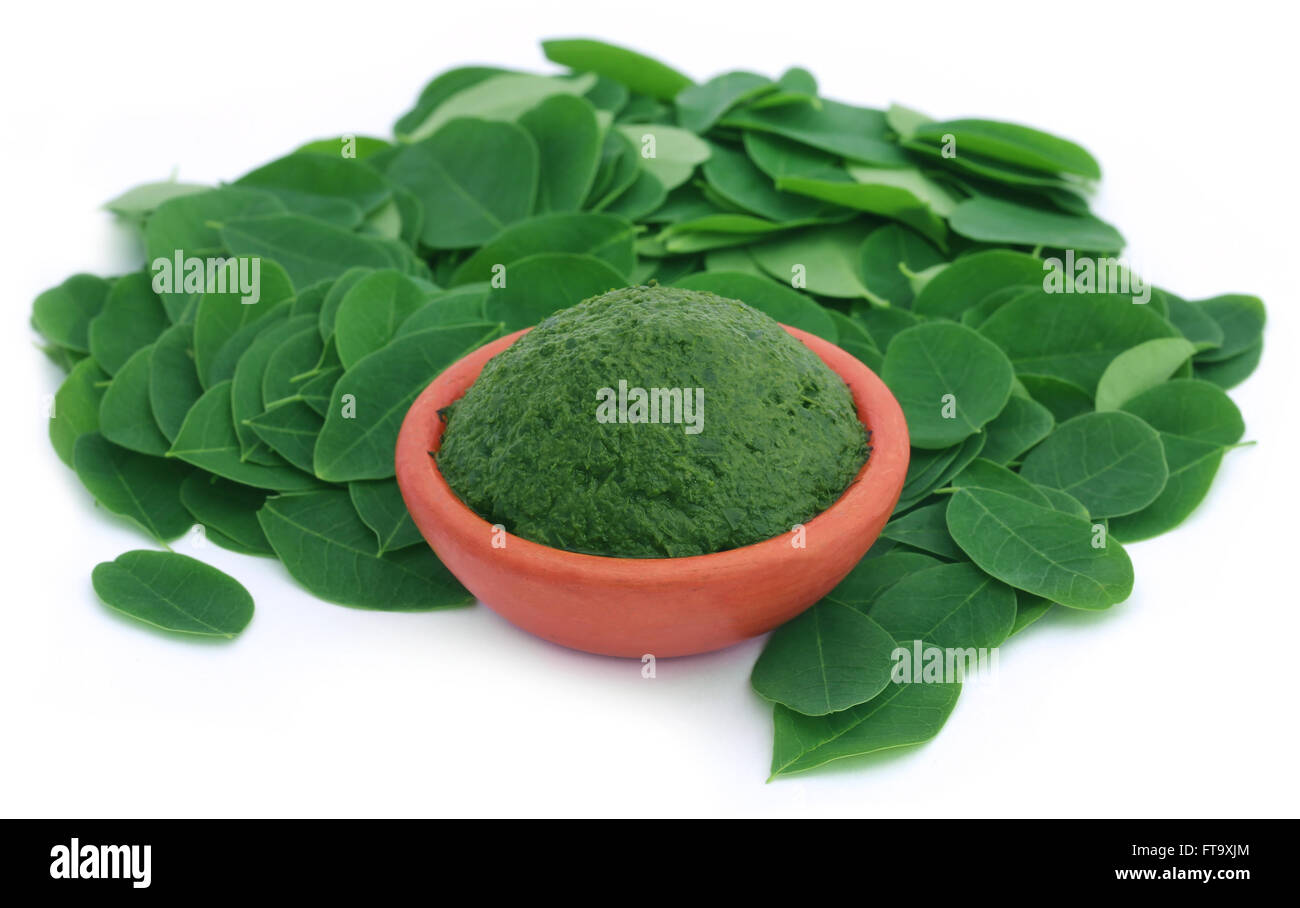 Edible moringa leaves with ground paste in a pottery over white ...