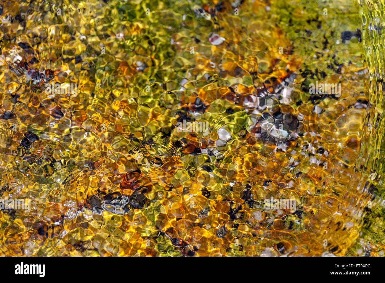 The colored stone bottom of the sea Stock Photo - Alamy