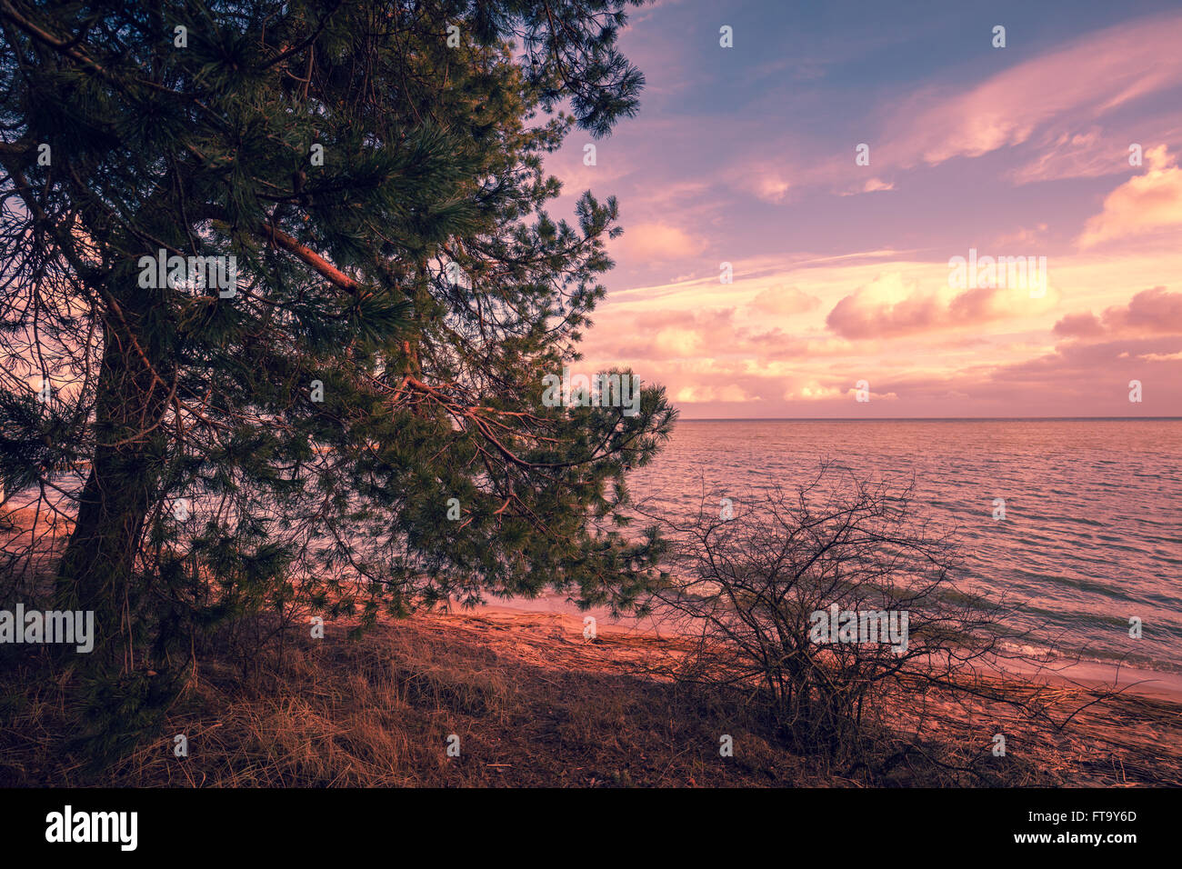 Baltic beach near nida hi-res stock photography and images - Alamy