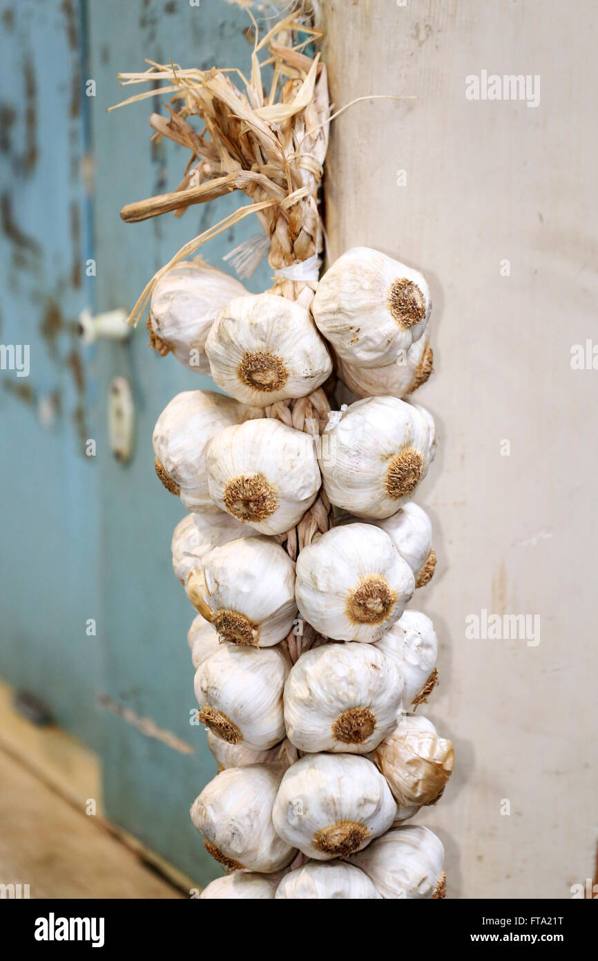 Homegrown organic garlic hanging in the kitchen Stock Photo - Alamy