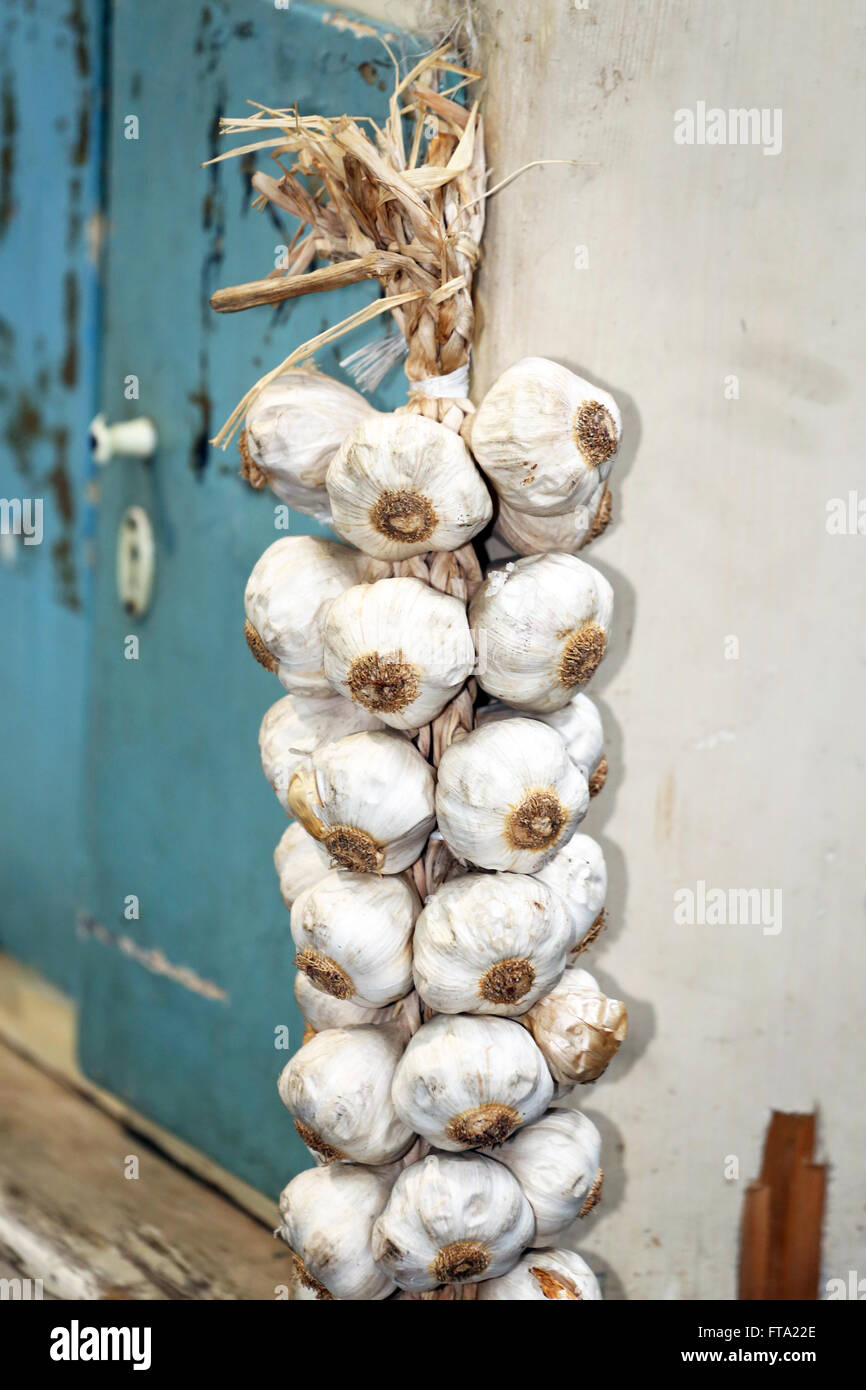 Homegrown organic garlic hanging in the kitchen Stock Photo - Alamy