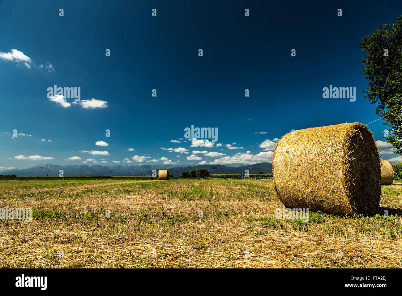 storm is coming on a field with hay bales Stock Photo - Alamy