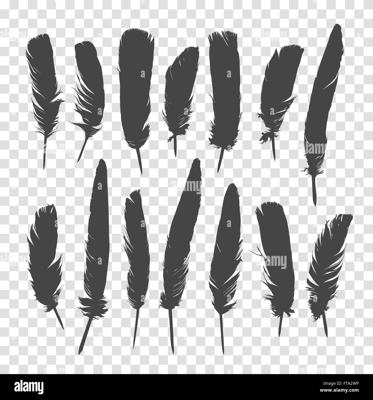 Hand drawn feathers set a transparent background. Vector illustration ...