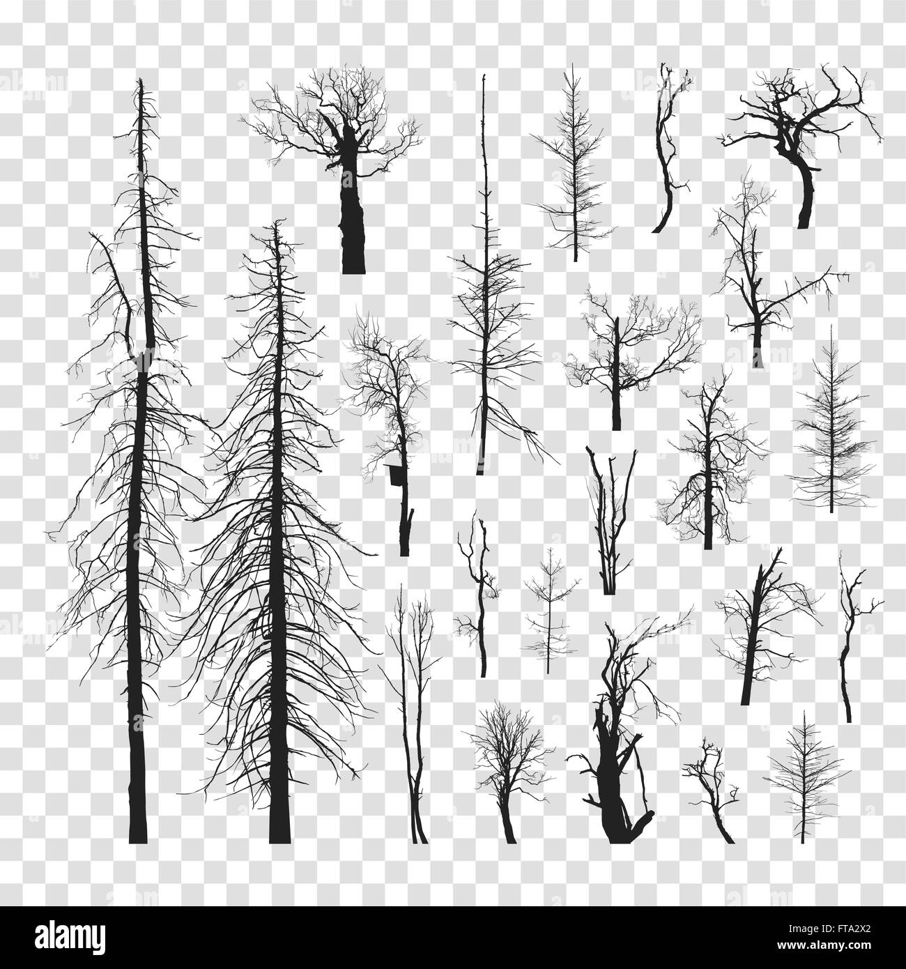 Tree vector set a transparent background. Vector Illustration Stock ...