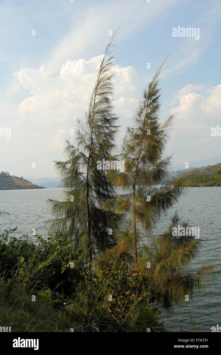 Wind blown lake hi-res stock photography and images - Alamy