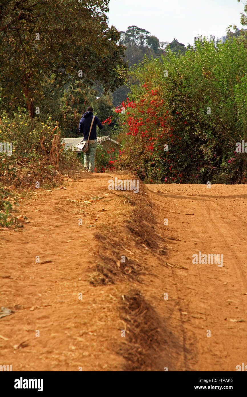A local boy walking along the roadside in Suye, Tanzania, Africa Stock ...