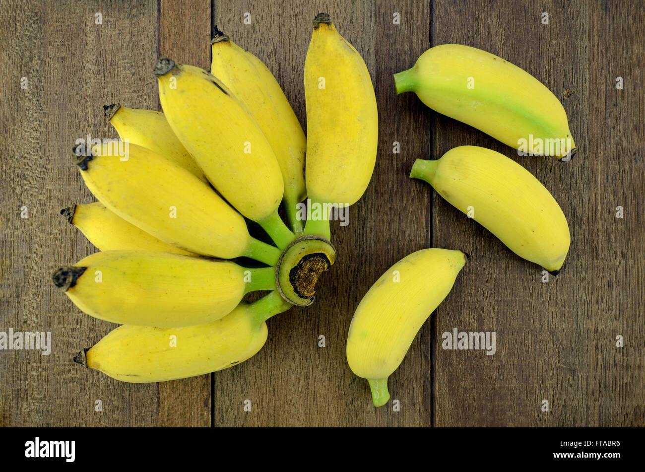 Cultivated Banana (Musa sapientum Linn.) on Natural Wood Background ...