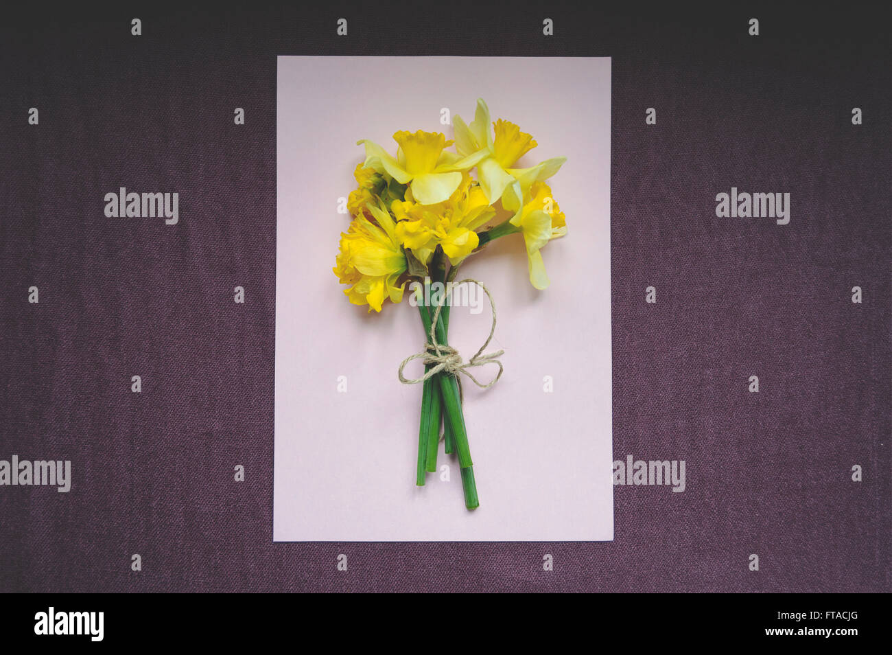 Daffodil bunch string hi-res stock photography and images - Alamy