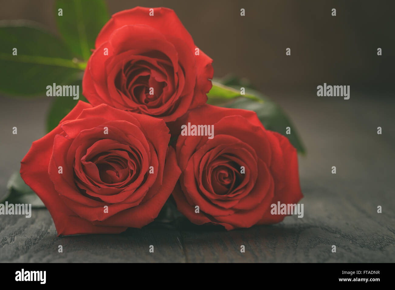 Red roses on plain background hi-res stock photography and images - Alamy