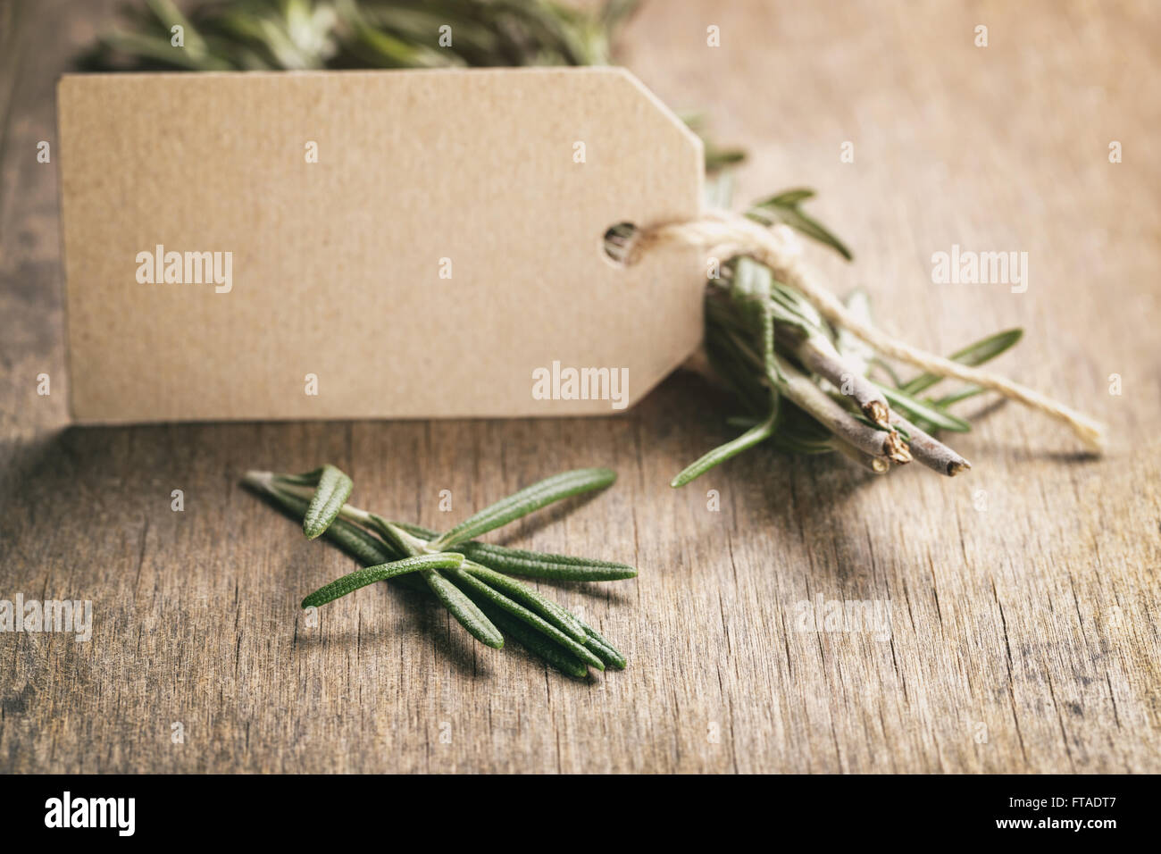 Rosemary plant label hi-res stock photography and images - Alamy