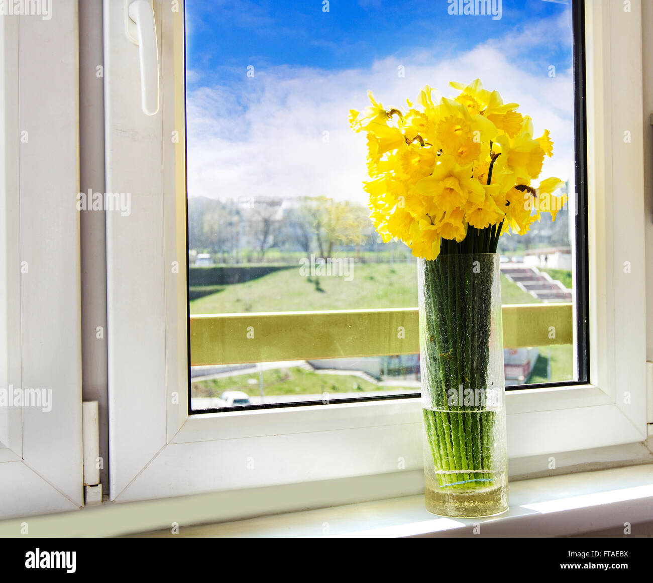 Beautiful Spring Flowers narcissus on window sill Stock Photo - Alamy