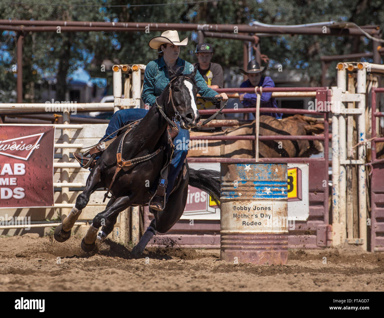 Barrel racing action at a rodeo in Cottonwood, California Stock Photo ...