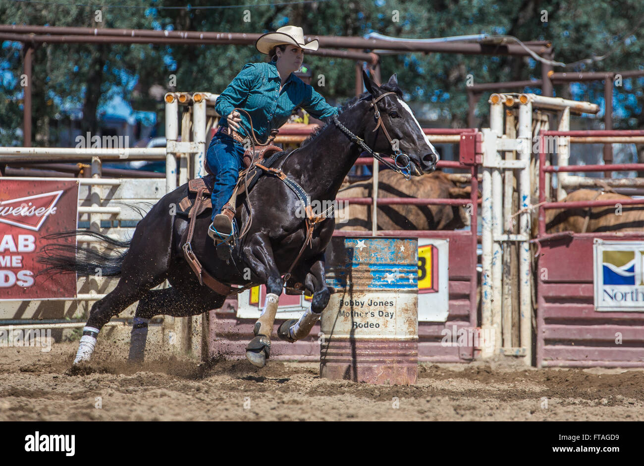 Barrel racing action at a rodeo in Cottonwood, California Stock Photo ...