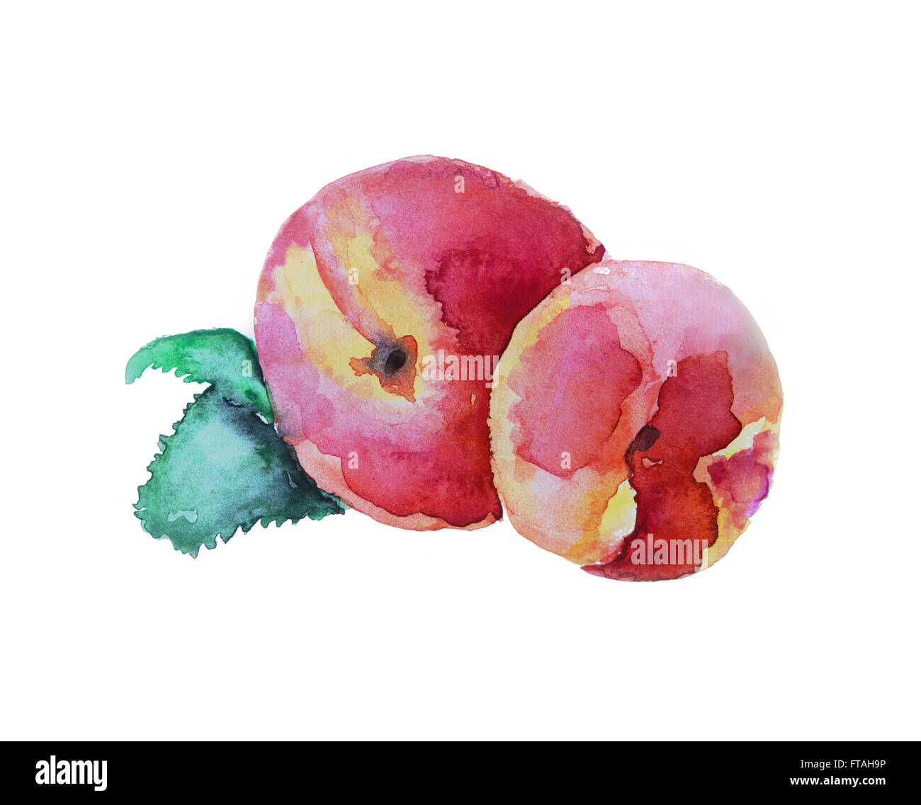 Watercolor peach color hi-res stock photography and images - Alamy