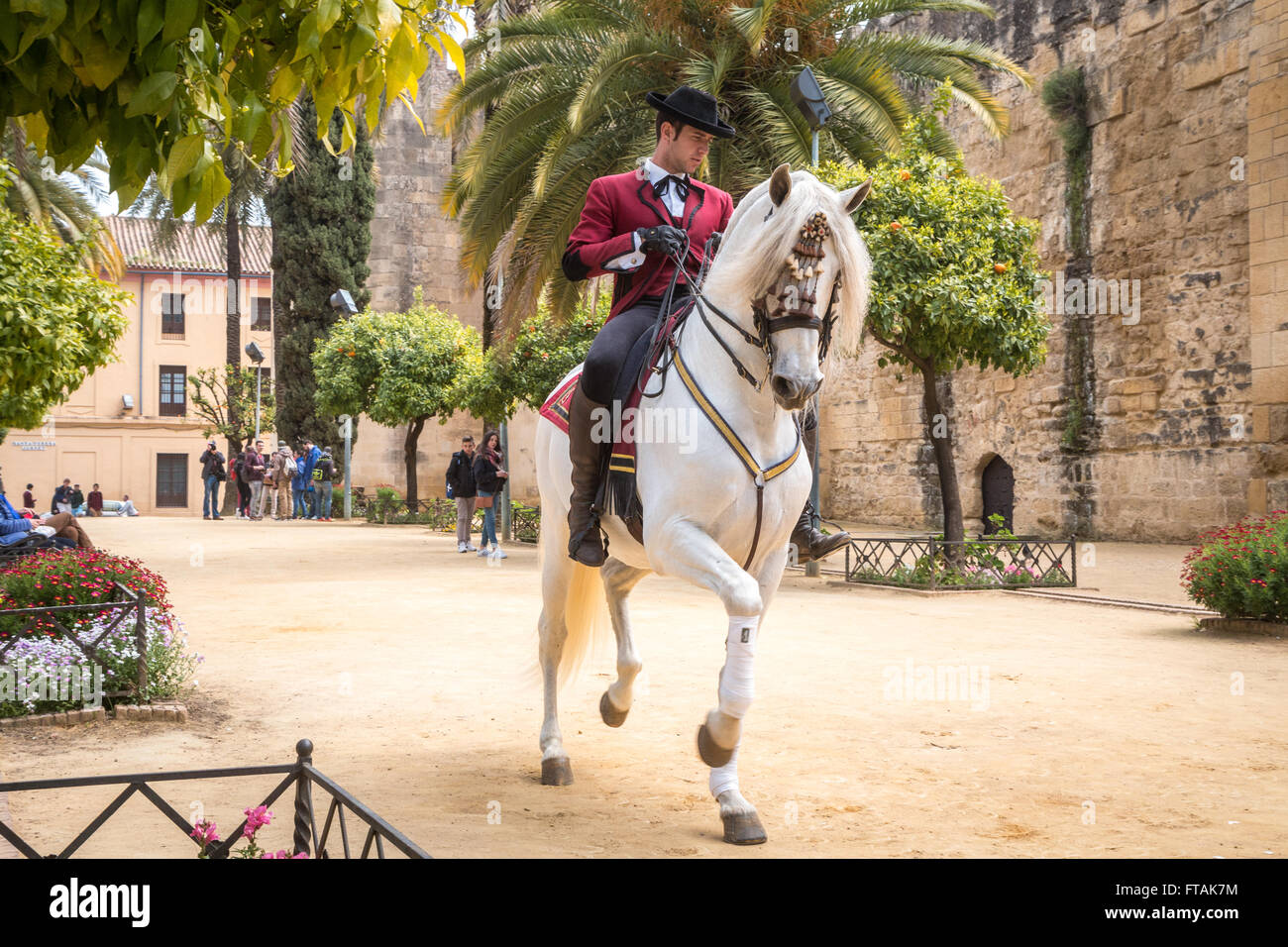 Traditional dressage hi-res stock photography and images - Alamy