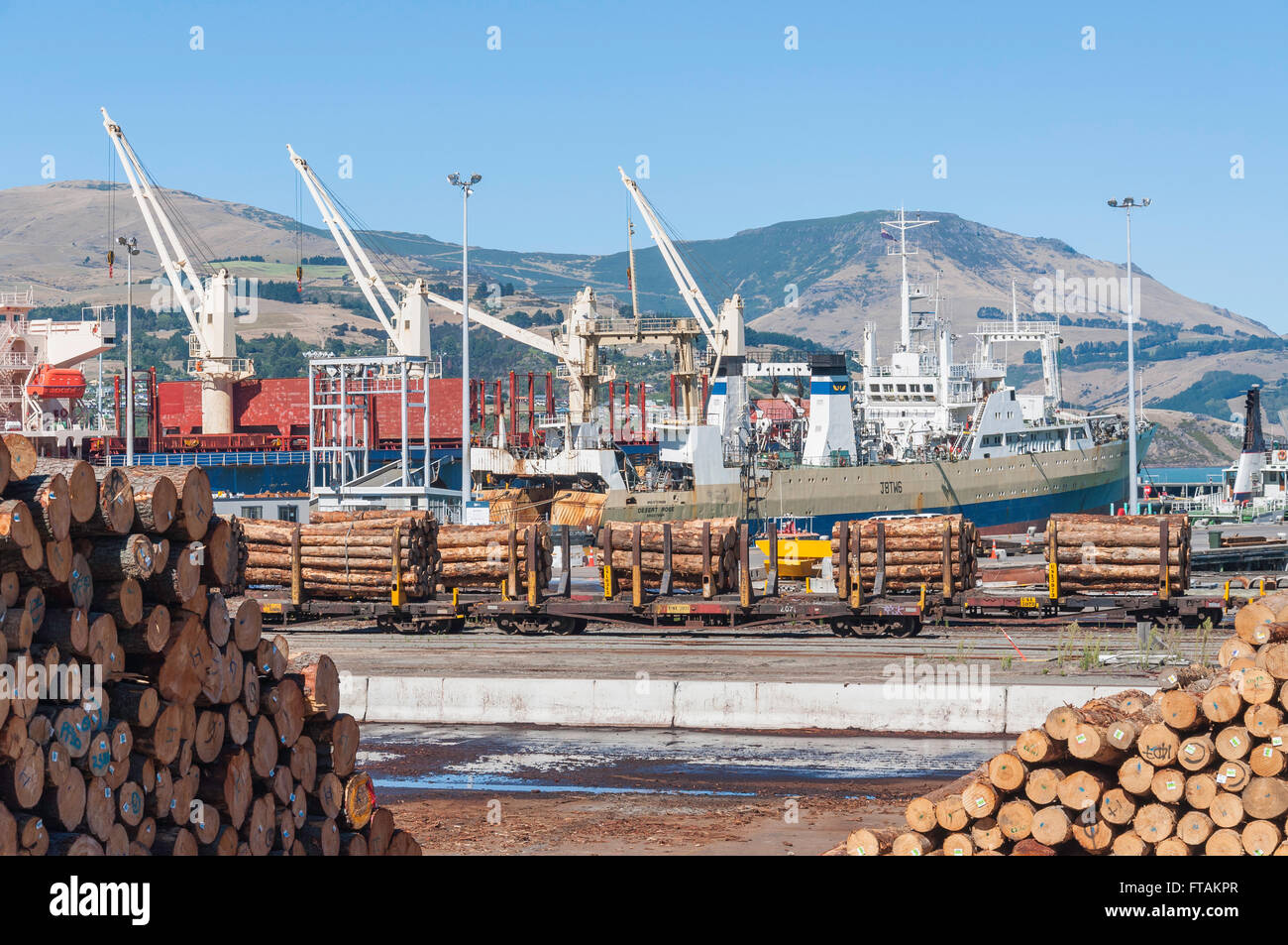 Piles of logs ready for loading at Container Port, Lyttelton Harbour ...