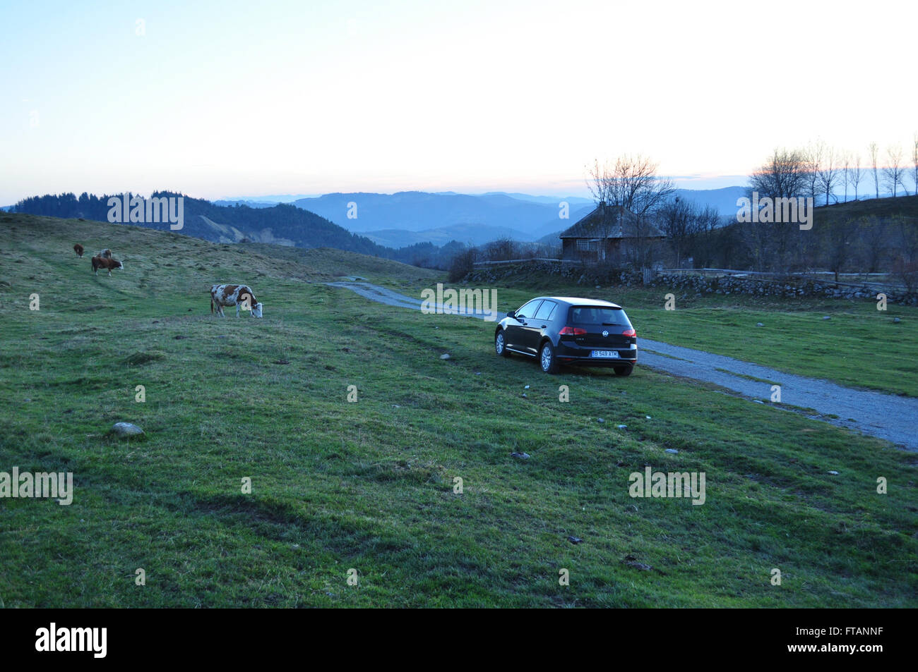 Car in field Stock Photo - Alamy