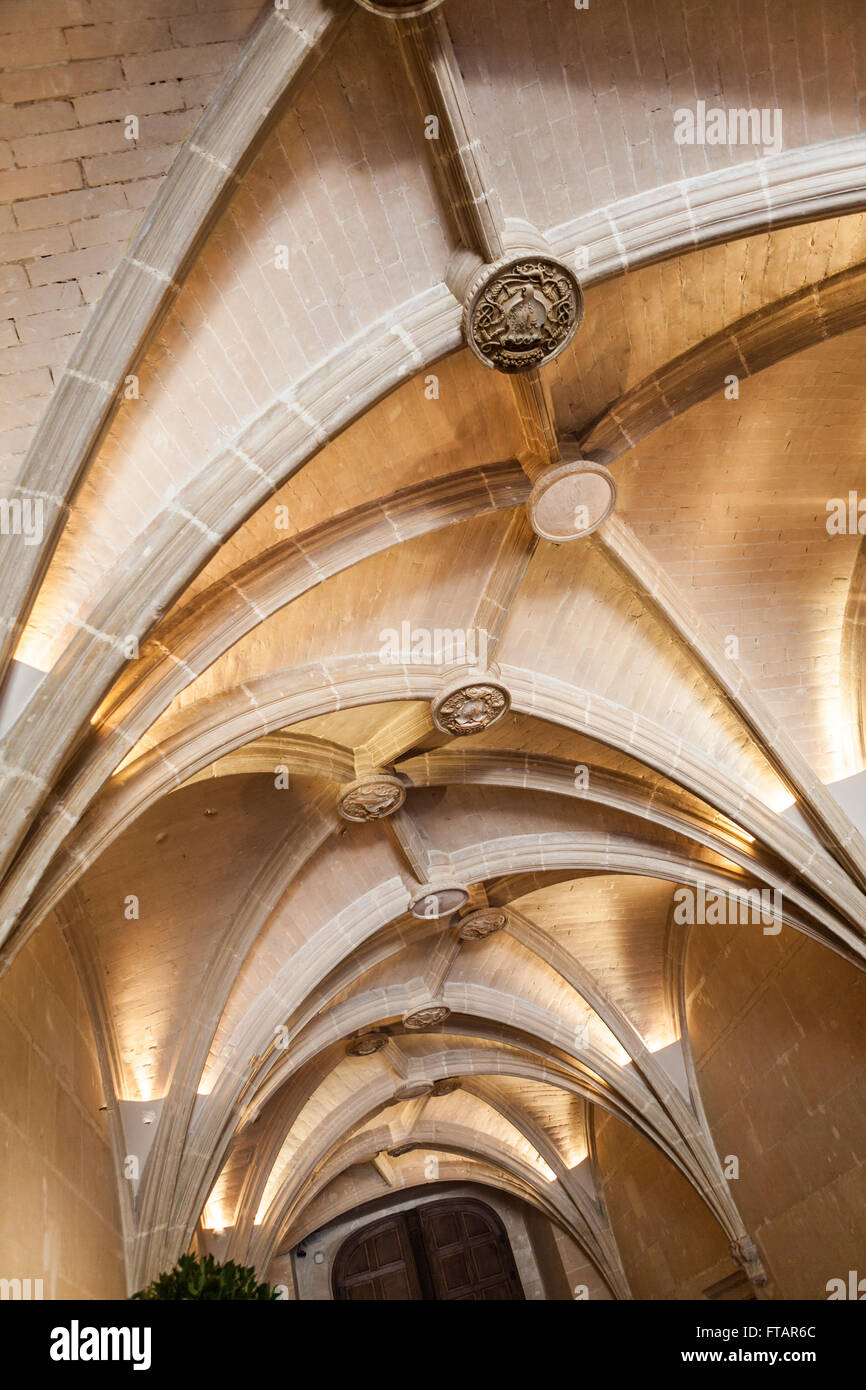 Chenonceau castle ceiling loire valley hi-res stock photography and ...