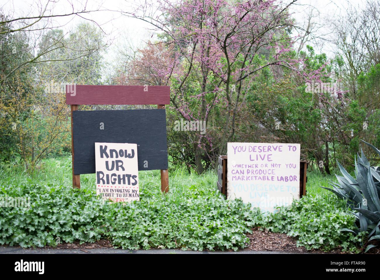 Disability rights movement hi-res stock photography and images - Alamy