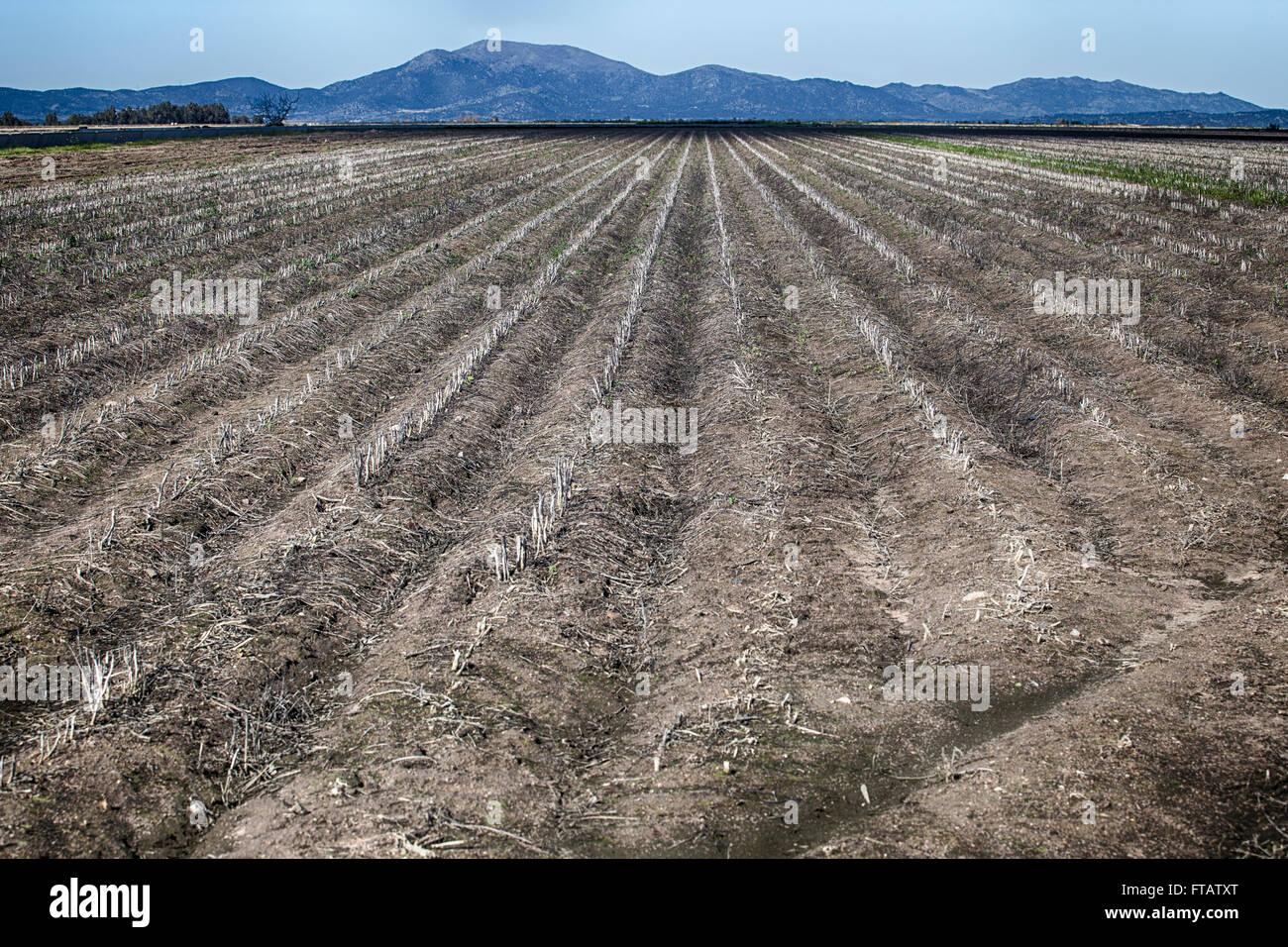 Fallow land hi-res stock photography and images - Alamy