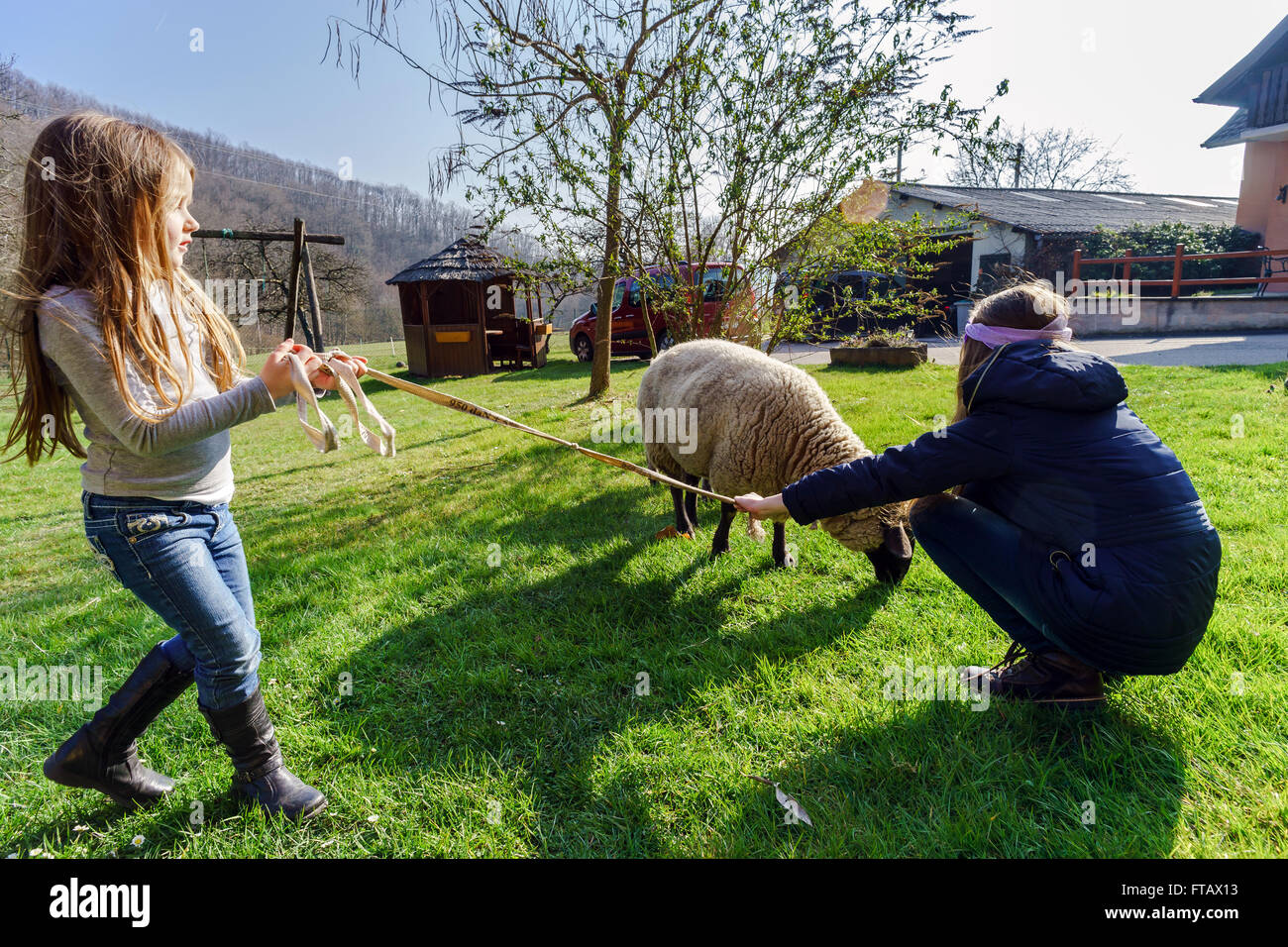 Two girls walking with farm sheep on green grass Stock Photo - Alamy