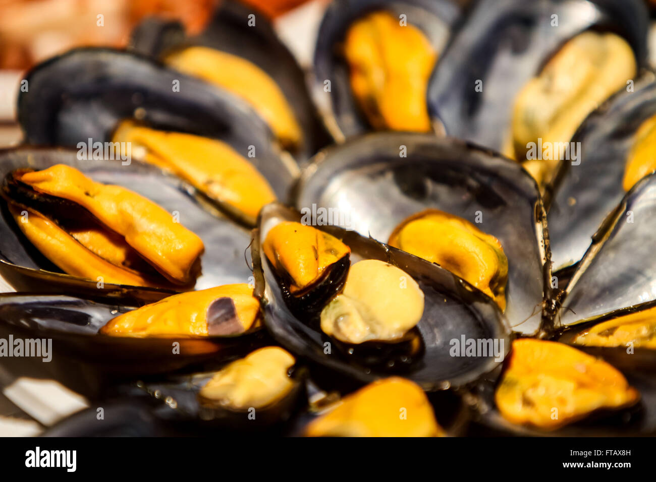 Fresh cooked mussels seafood hi-res stock photography and images - Alamy