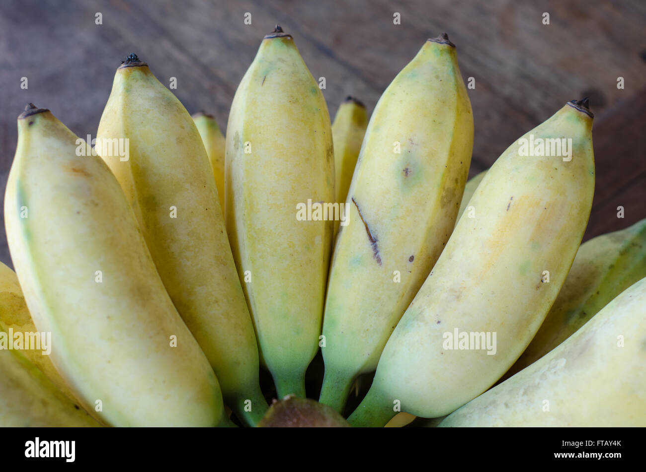 Musa Sapientum High Resolution Stock Photography and Images - Alamy