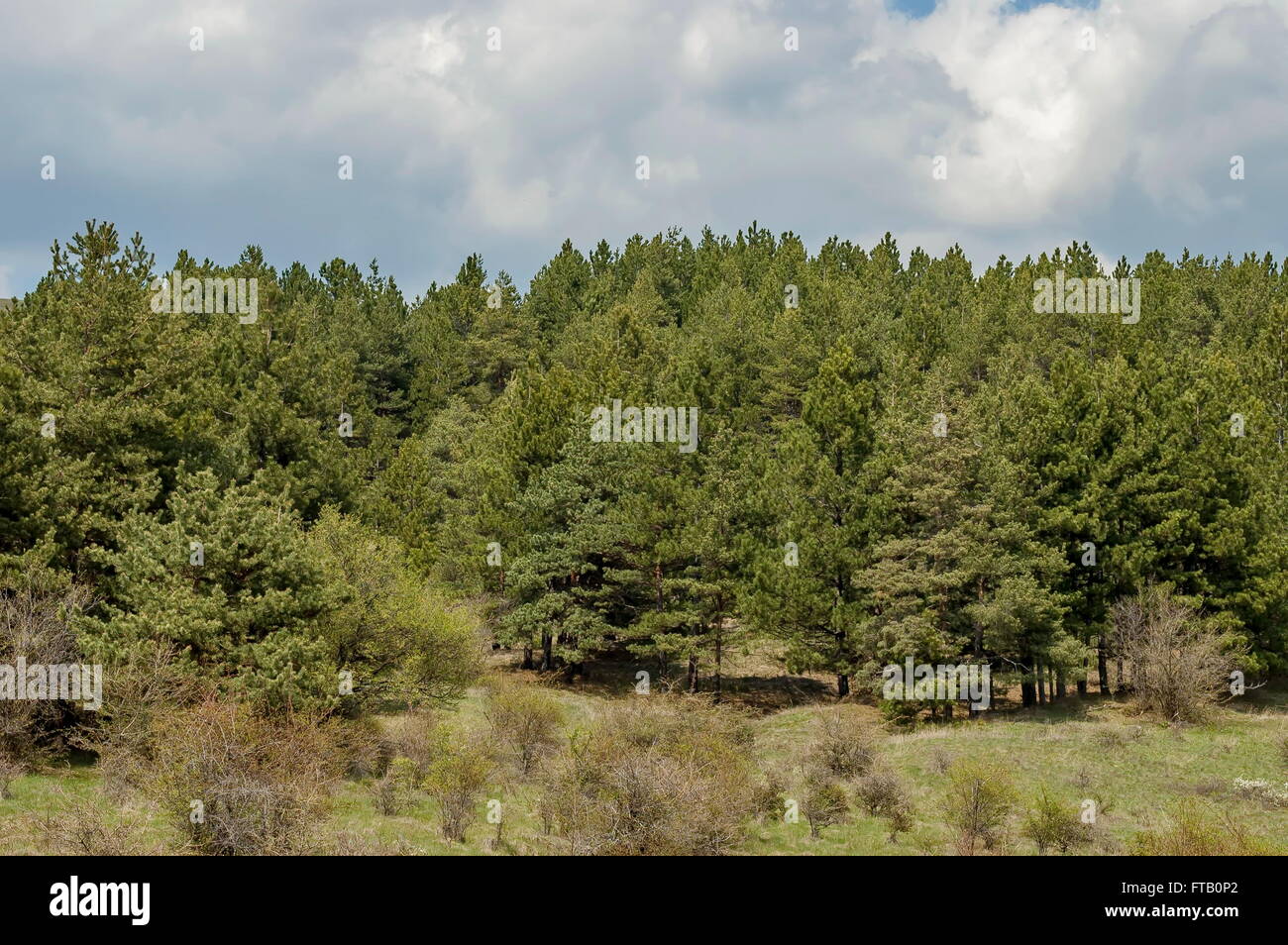 Balkan Mountain High Resolution Stock Photography and Images - Alamy