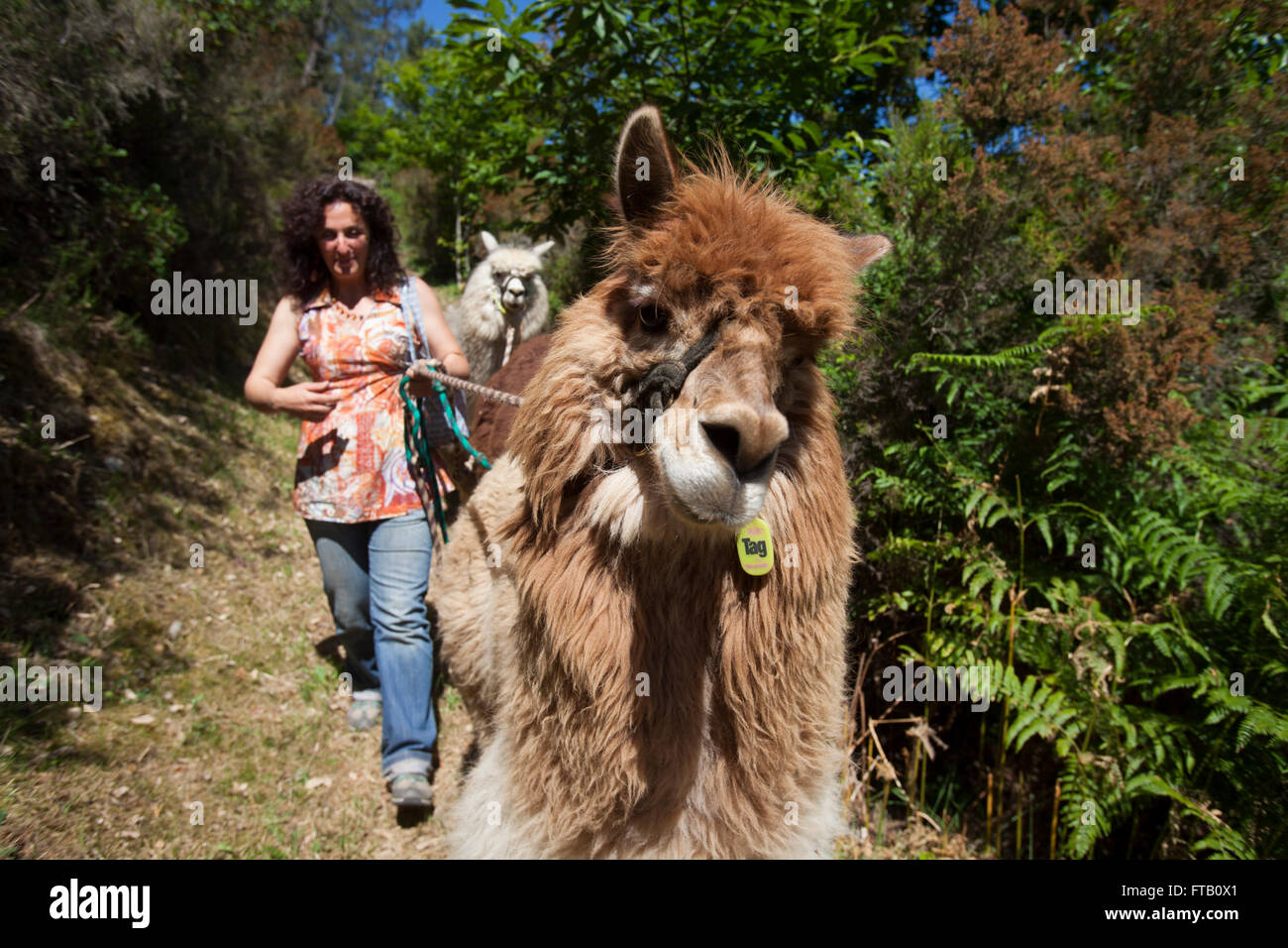 Lisa Vella-Gatt came to Portugal from England in 2009 to set up Monte ...