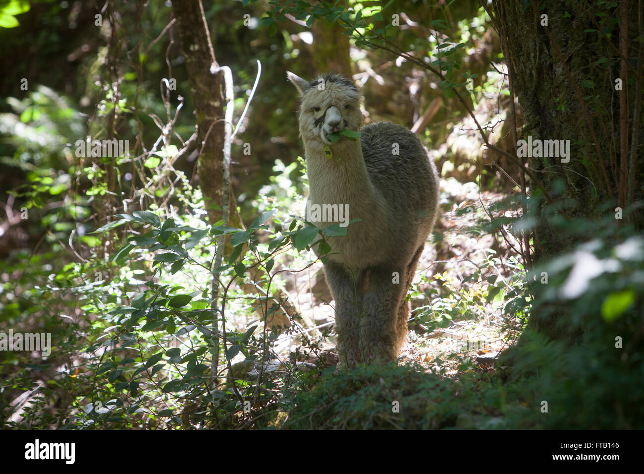 Lisa Vella-Gatt came to Portugal from England in 2009 to set up Monte ...