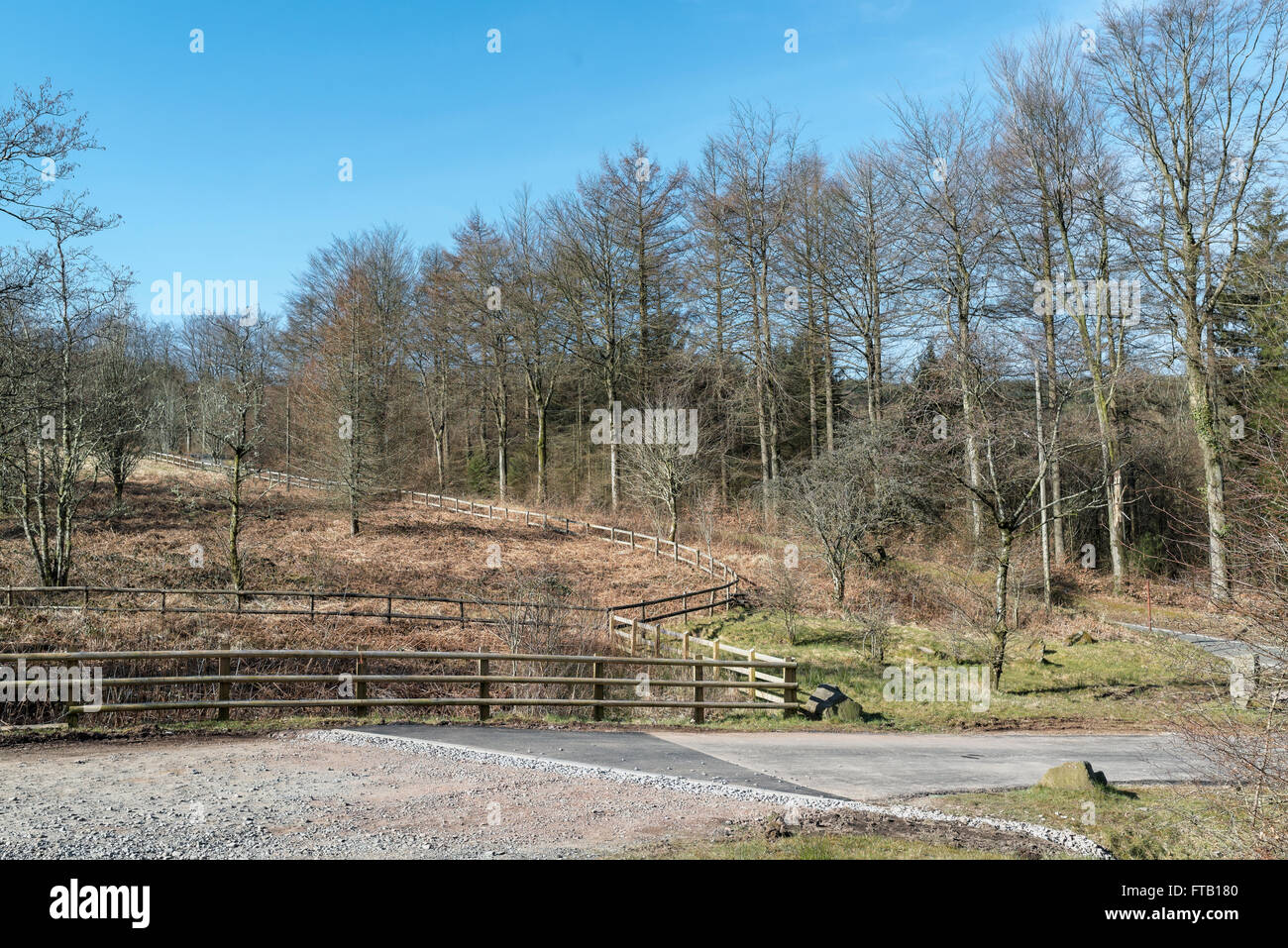 Wooden fences alongside the forestry car park at St Gwynno Forest Stock ...