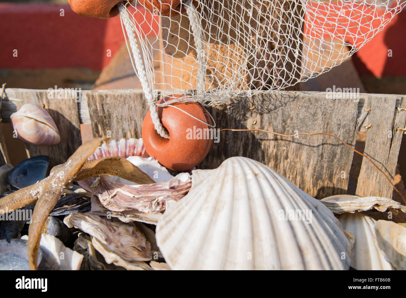Detail of a fishing net with orange float and a white shell Stock Photo ...