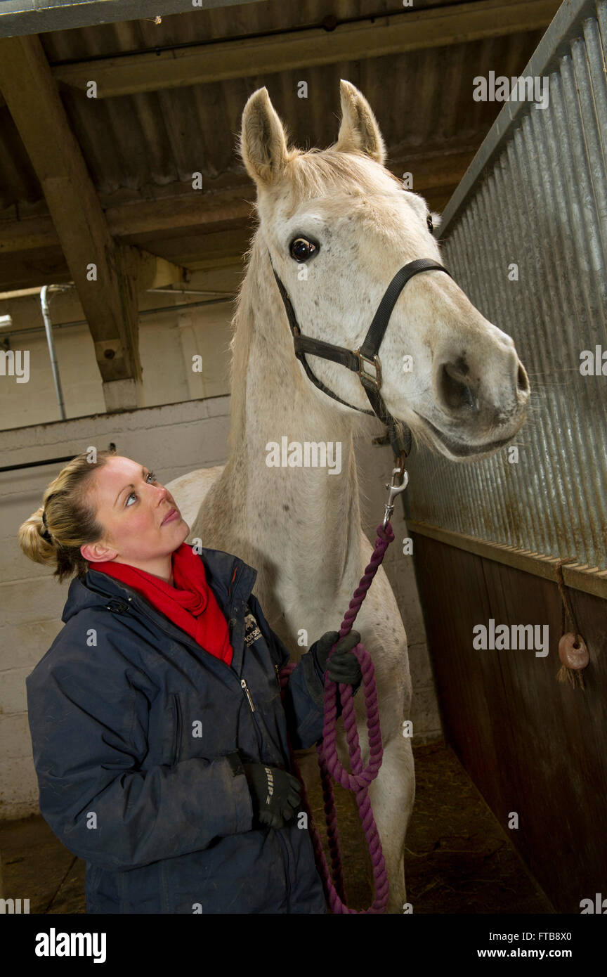 Cressida,a white racehorse,cousin of Desert Orchid,rescued by the ...