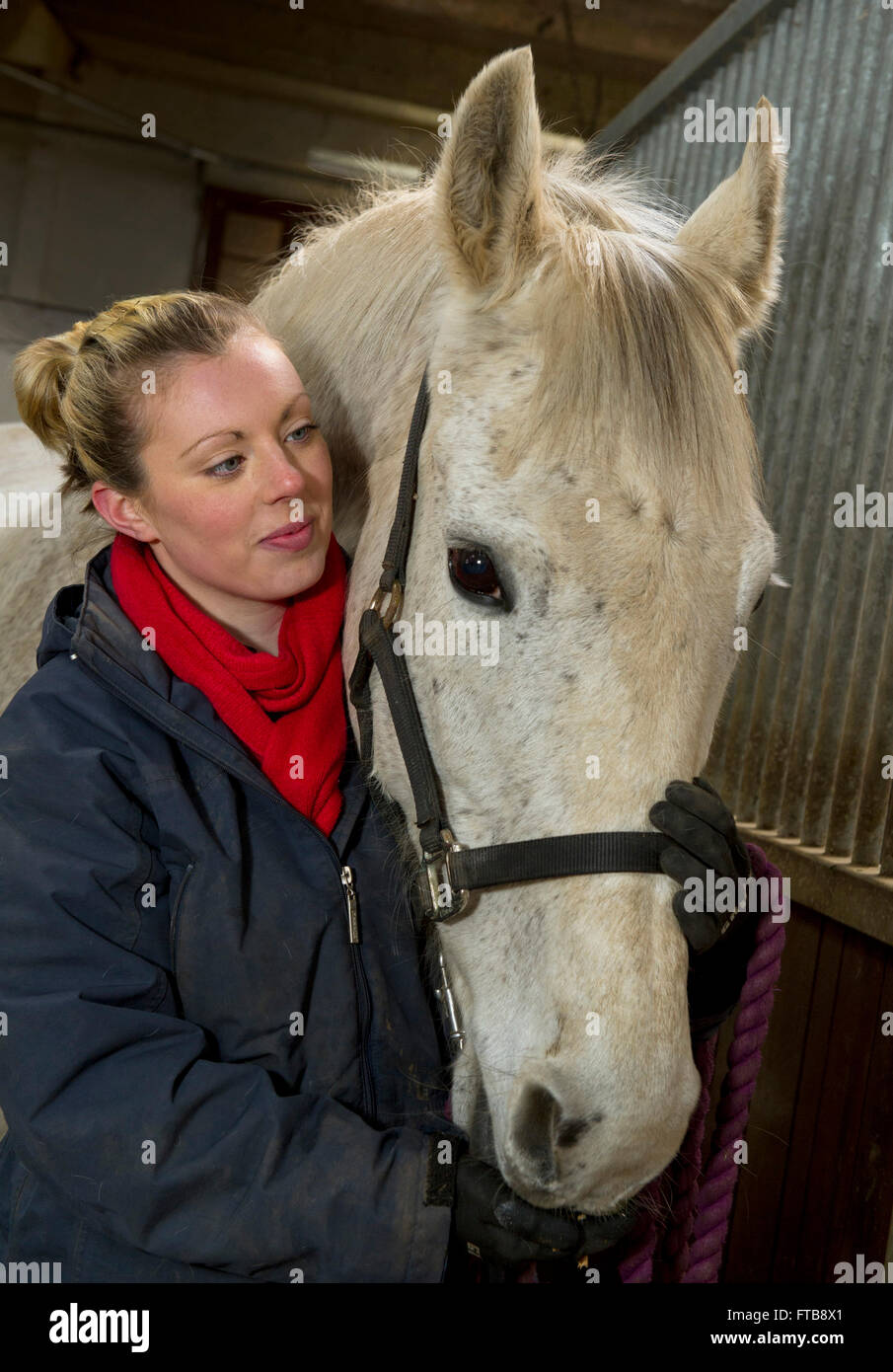 Cressida,a white racehorse,cousin of Desert Orchid,rescued by the ...
