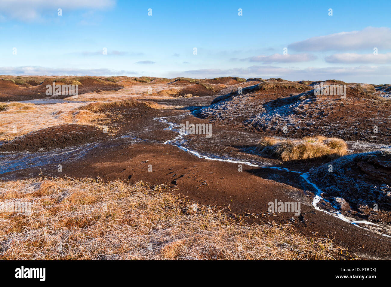 Winter sunlight on the frosty moorland of Edale Moor on Kinder Scout ...