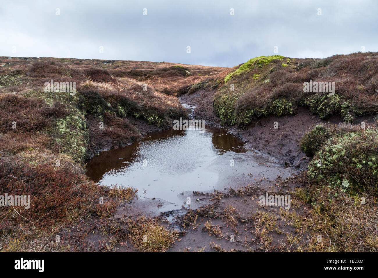 Peat bog britain hi-res stock photography and images - Alamy