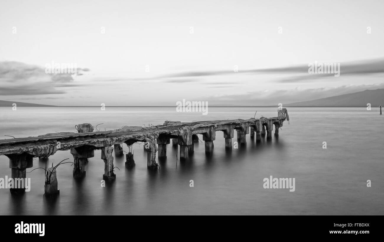 Jetty Meaning Rewriting Mapleshade, Appledusk, and Reedshine’s Stories ...