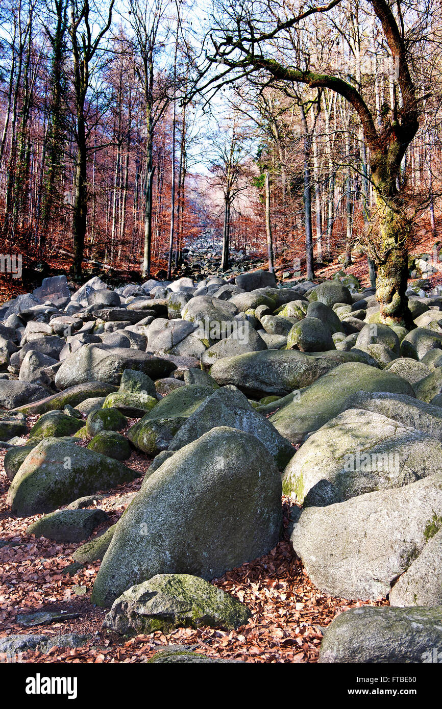 A pile of rocks in a mystical autumn forest Stock Photo - Alamy